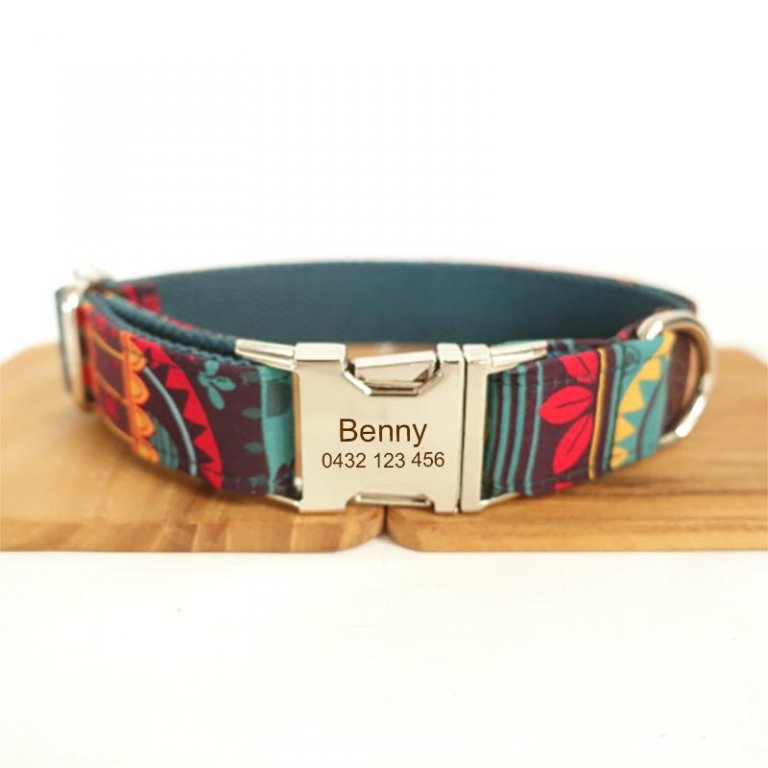 6 Best Puppy Collars Australia (2021 Buyers Guide) - gentledogtrainers ...